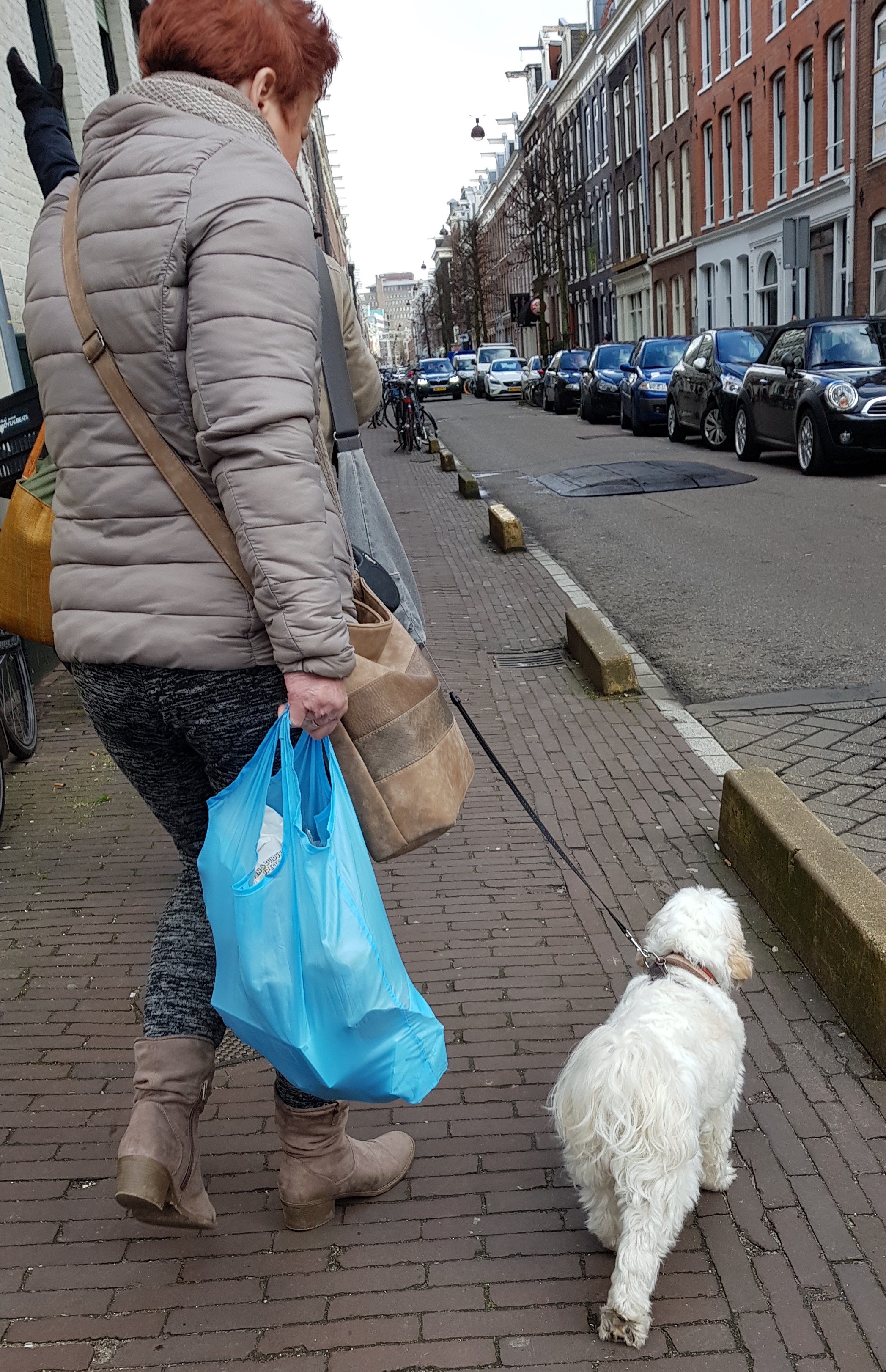 30 Everyday Things in Amsterdam: (25) Walking your dogs | The ...