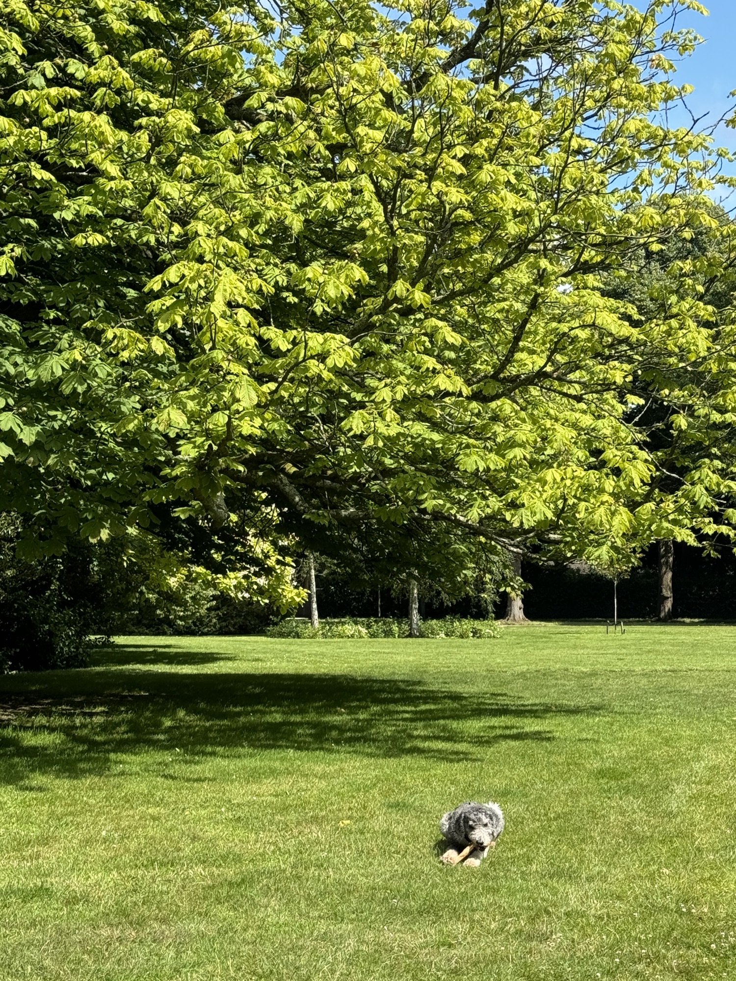 AI View of This Site | The Adventures of Lorie and Brian Groth