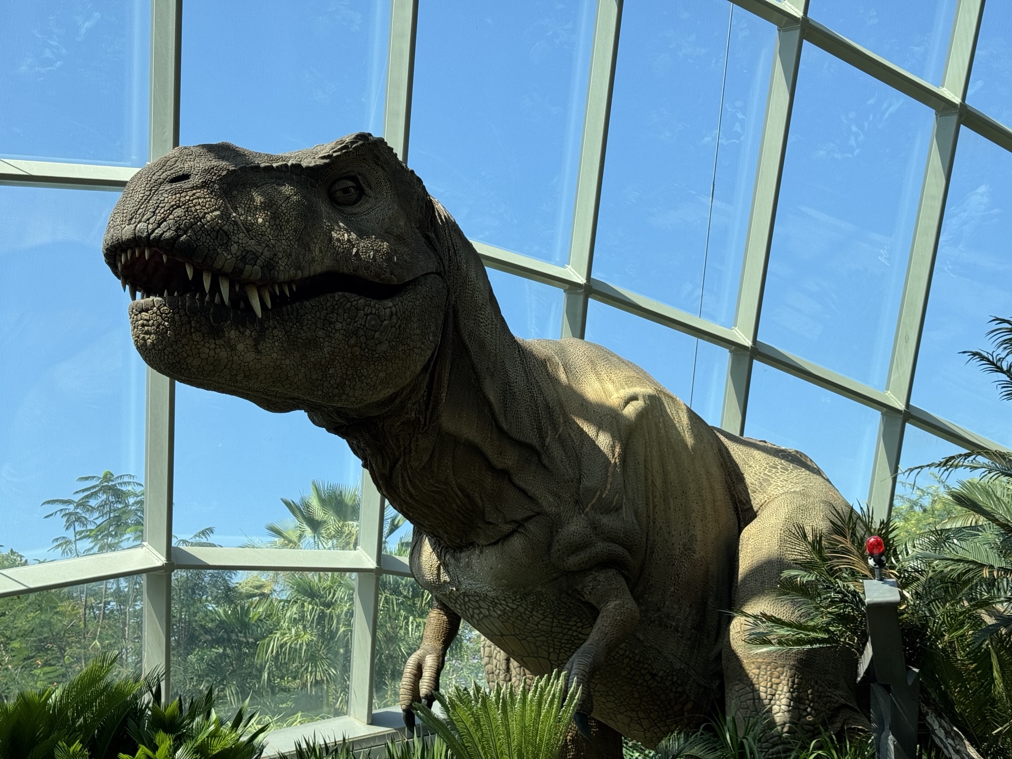 A day in Singapore | The Adventures of Lorie and Brian Groth