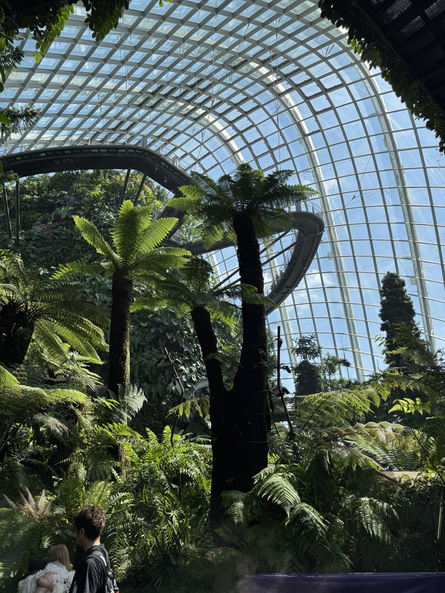 A day in Singapore | The Adventures of Lorie and Brian Groth